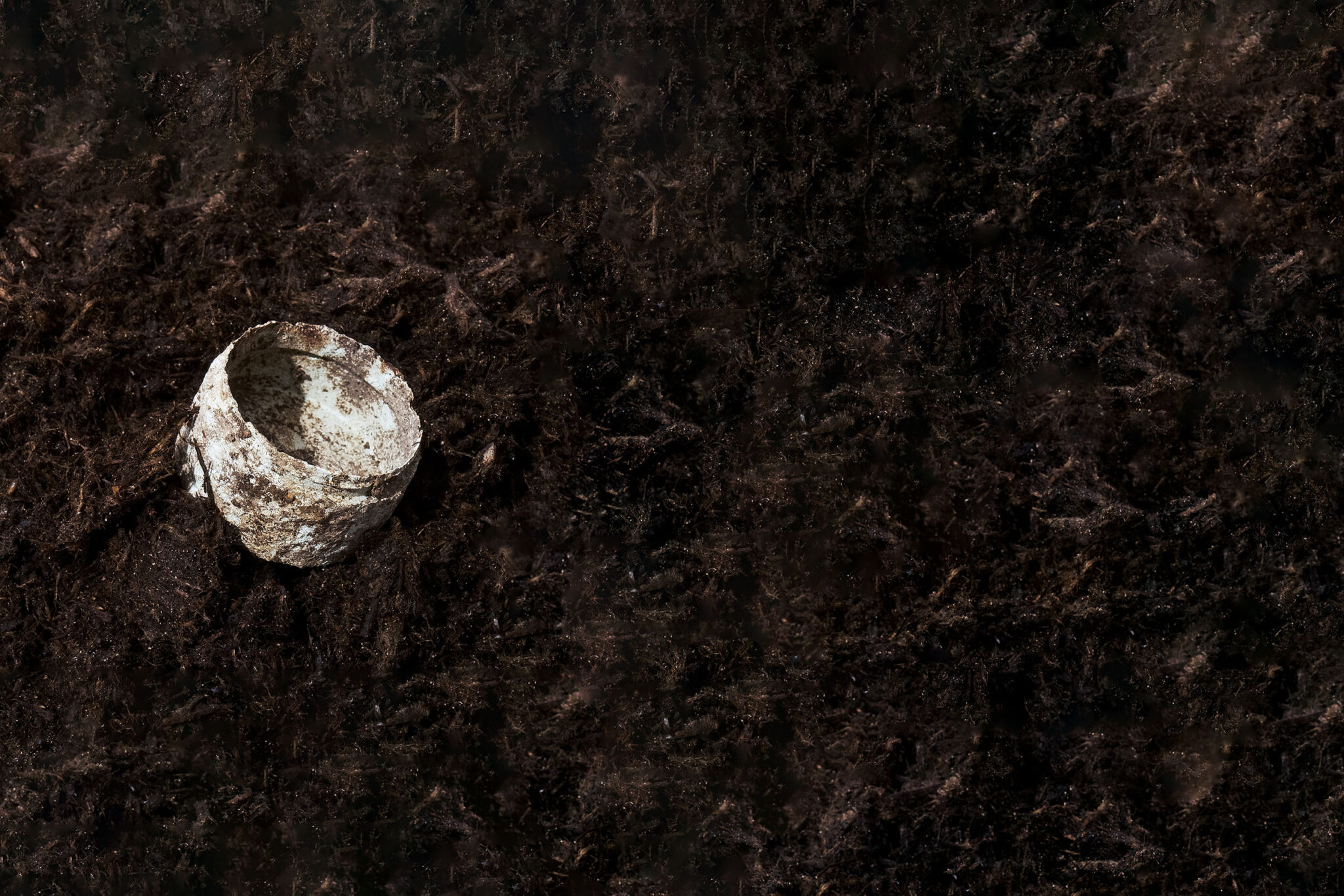 Shellworks: Transforming Sustainable Packaging with Vivomer – Nature’s ...